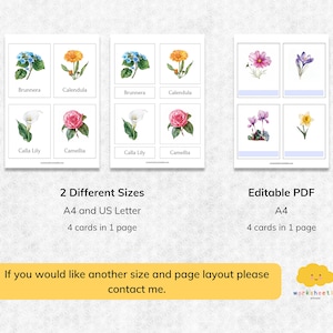 Flowers Flashcards: Montessori Plant Identification Learning (digital ...