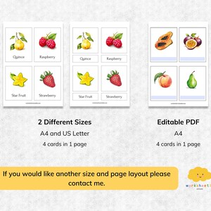 Editable Fruits Flashcards for Kids | Educational 3 Part Nomenclature ...