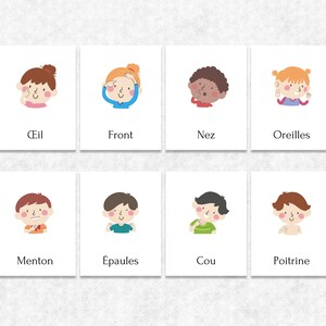 16 French Body Parts Flashcards for Kids, Printable 3 Part Nomenclature ...