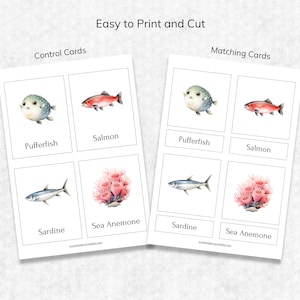Ocean Animals Flashcards: Montessori 3-part Cards (digital Download) - Etsy