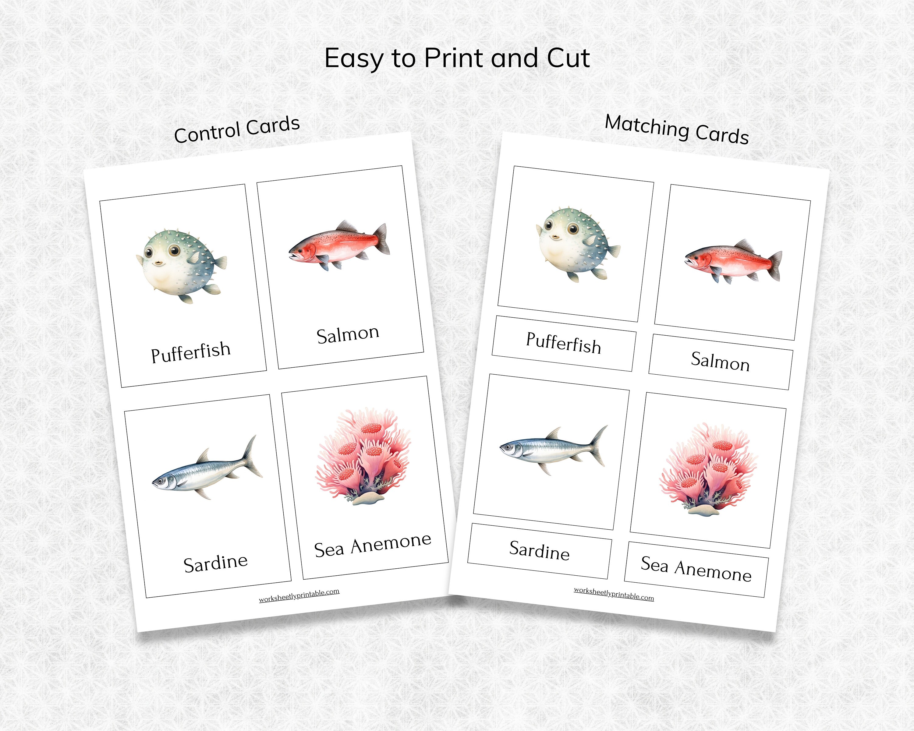 Ocean Animals Flashcards: Montessori 3-part Cards (digital Download) - Etsy