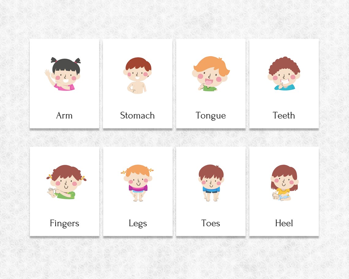16 Body Parts Flashcards for Kids Learning Body Parts 3 Part ...