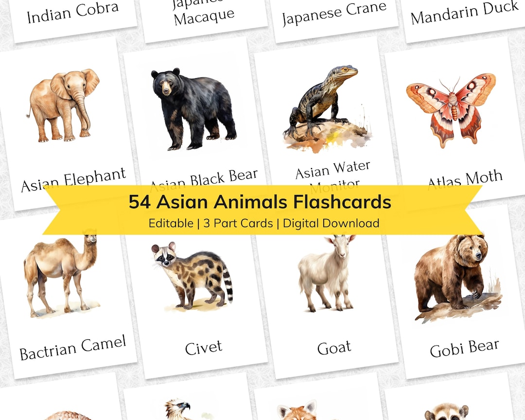 Editable Asian Animal Flashcards for Kids, Printable 3 Part ...