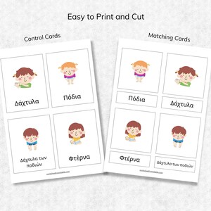 16 Greek Body Parts Flashcards for Kids | Educational 3 Part ...