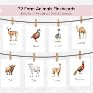 32 Watercolor Farm Animals Flashcards: Montessori Learning Cards ...