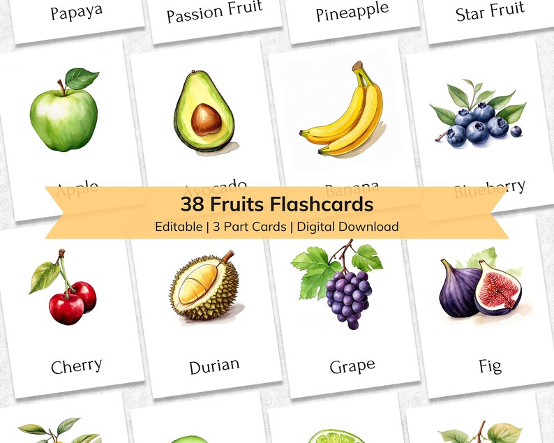 Editable Fruits Flashcards for Kids | Educational 3 Part Nomenclature ...
