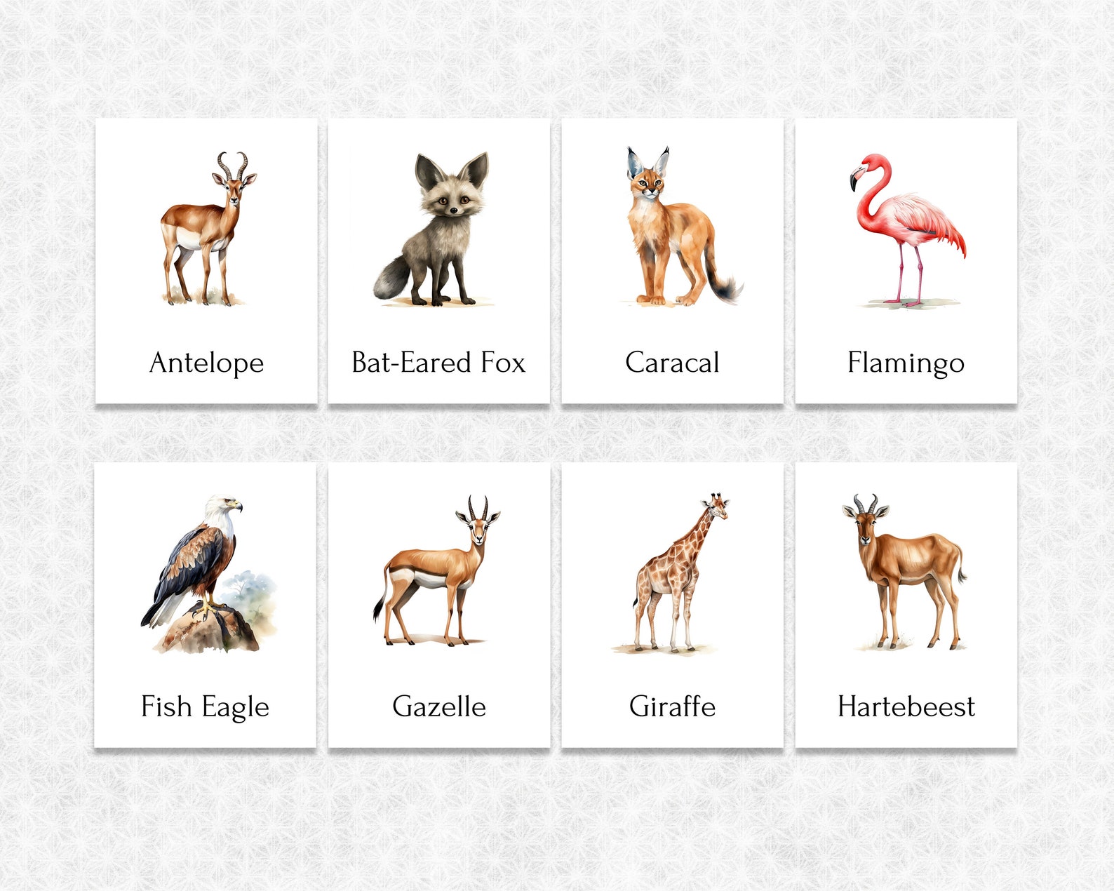 Editable Safari Animals Flashcards for Kids, Montessori Animal Name ...
