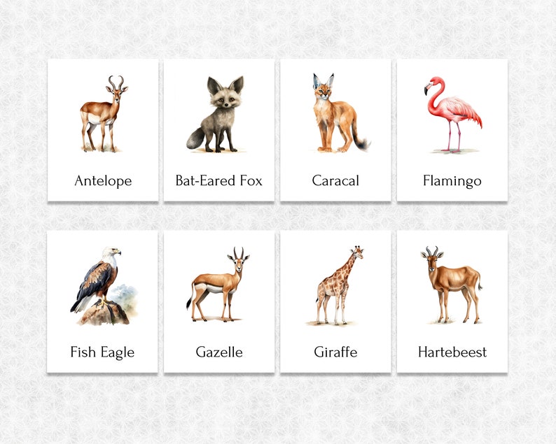 Editable Safari Animals Flashcards for Kids, Montessori Animal Name ...