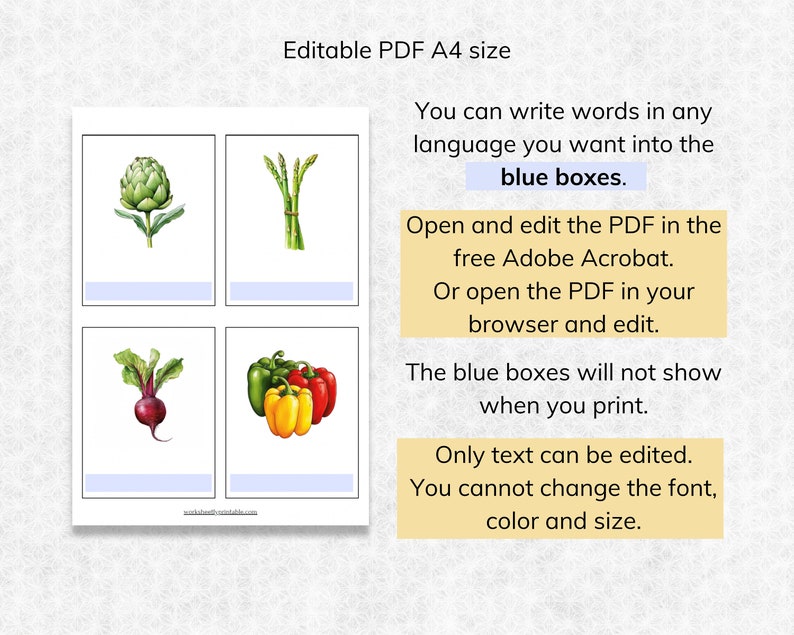 Editable Vegetables Flashcards for Kids Educational 3 Part Nomenclature ...