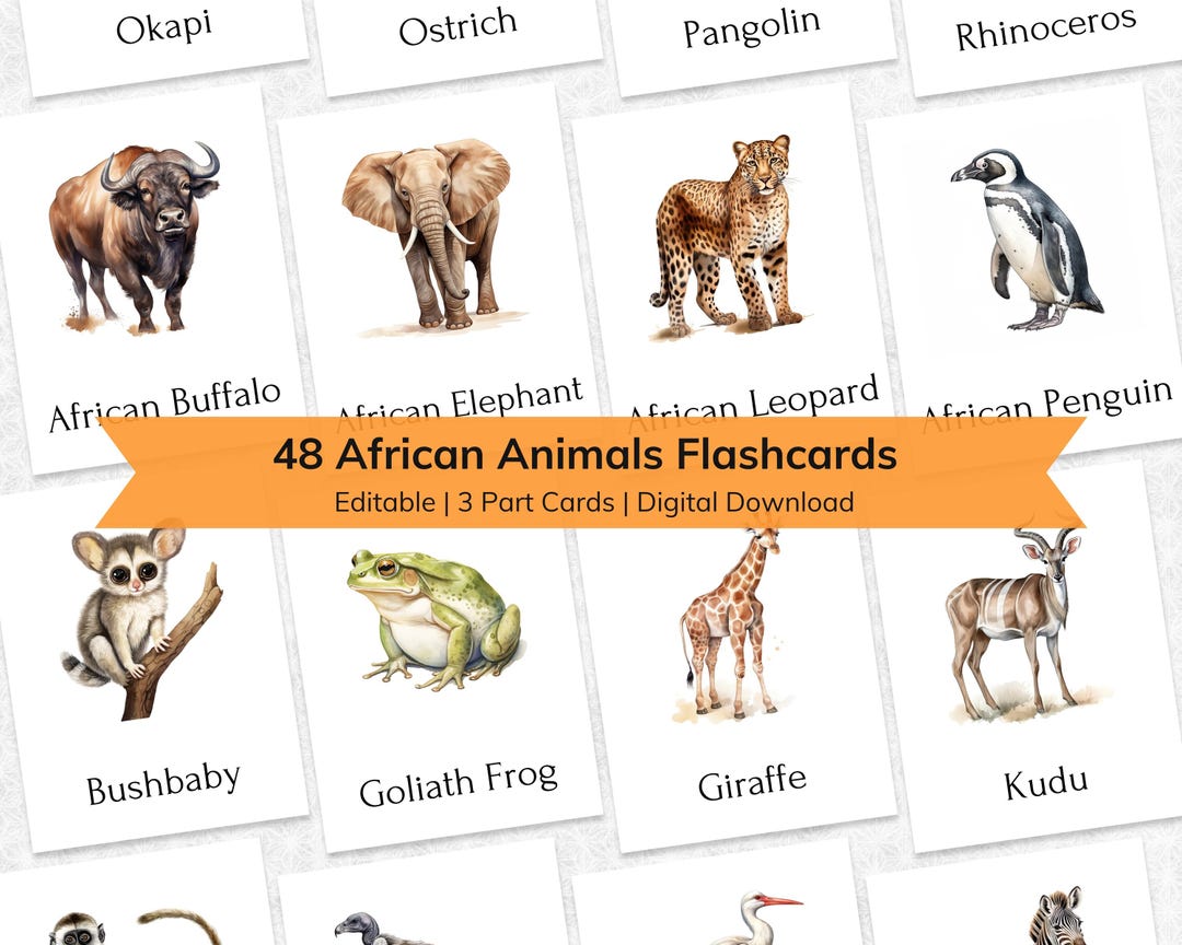 Editable African Animal Montessori 3-part Flashcards for Kids ...