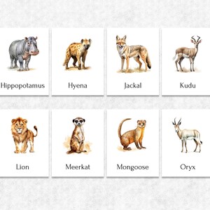 Editable Safari Animals Flashcards for Kids, Montessori Animal Name ...