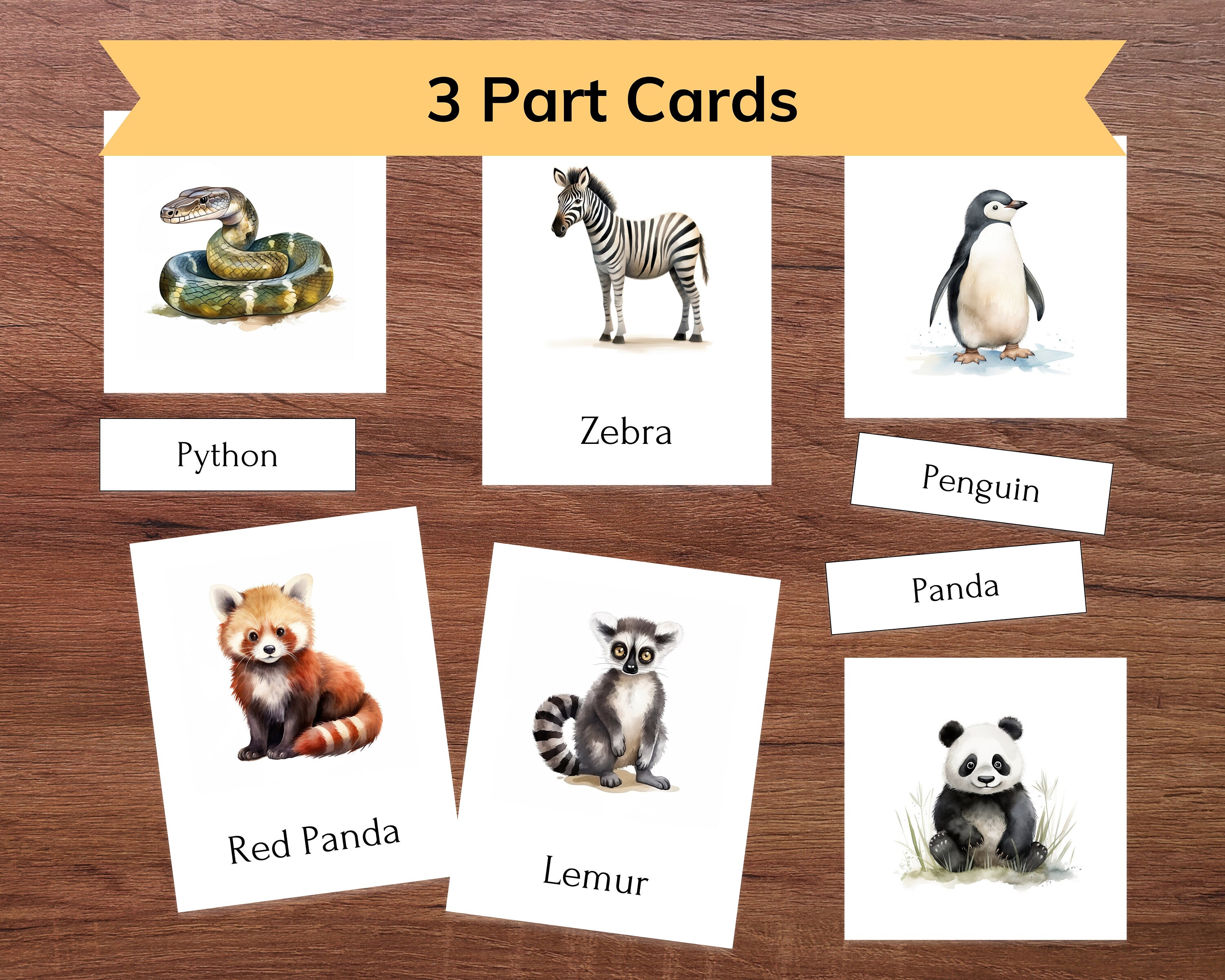 Editable Zoo Animal Flashcards: Montessori Learning (digital Download ...