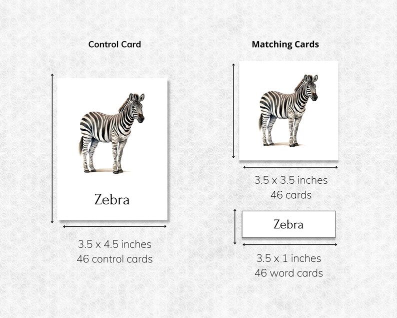 Editable Safari Animals Flashcards for Kids, Montessori Animal Name ...