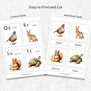 Spring Animals Alphabet Flashcards for Kids | Spring Animals Name, ABC ...