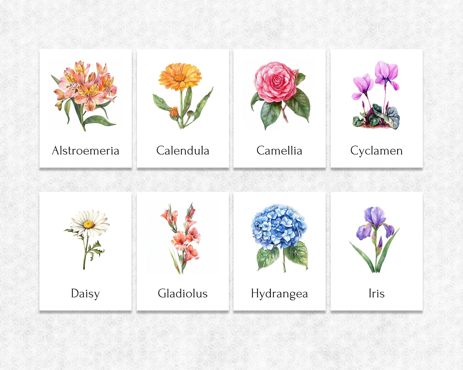 Flowers Flashcards: Montessori Plant Identification Learning (digital ...