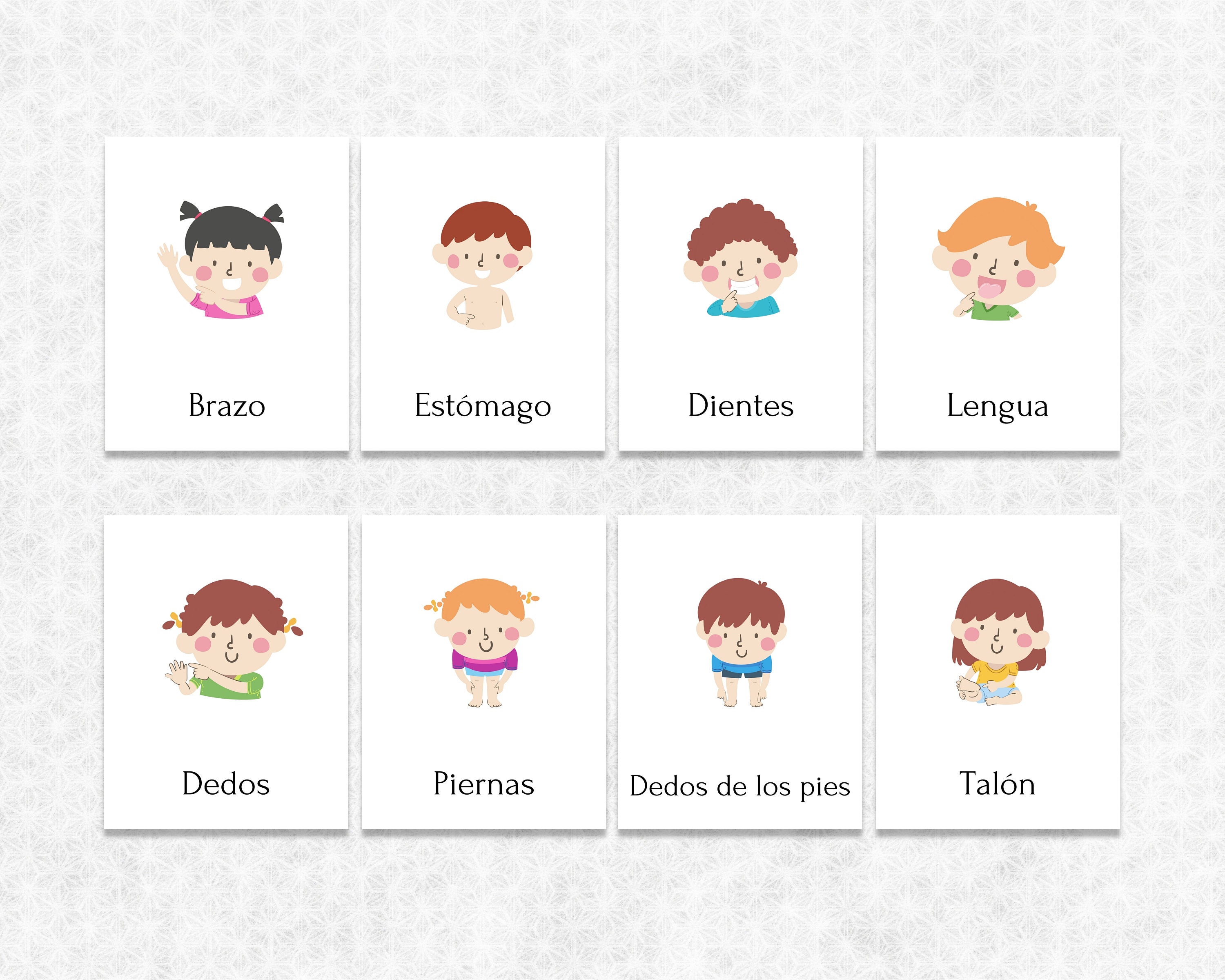 Spanish 16 Body Parts Flashcards for Kids | 3 Part Nomenclature ...