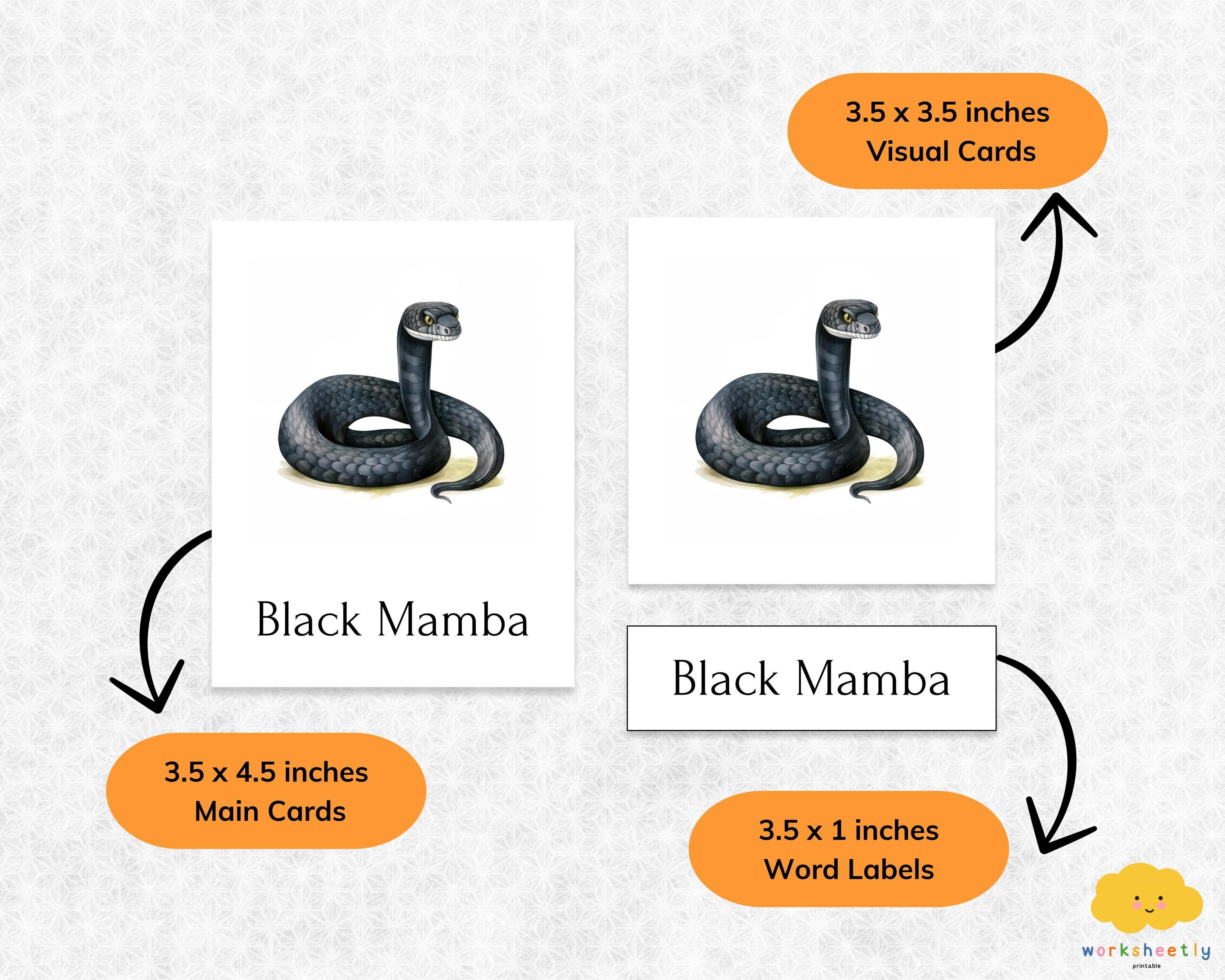 Editable African Animal Montessori 3-part Flashcards for Kids ...