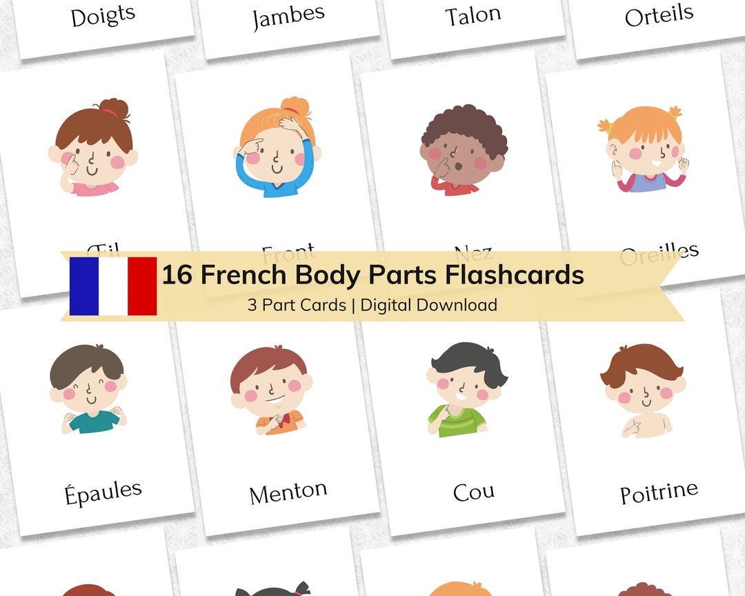 16 French Body Parts Flashcards for Kids, Printable 3 Part Nomenclature ...