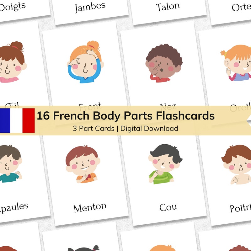 French Parts of Body - Etsy