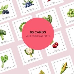 60 Fruits and Vegetables Montessori Flashcards for Kids | Pre-school ...
