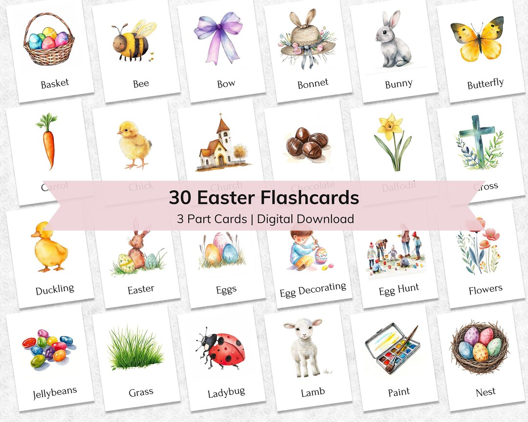 Easter Montessori Flashcards: Spring Nomenclature Cards (digital ...