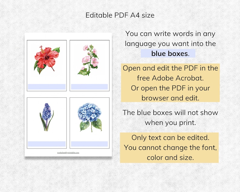 Editable Flowers Flashcards for Kids, Montessori Flower Name Learning ...