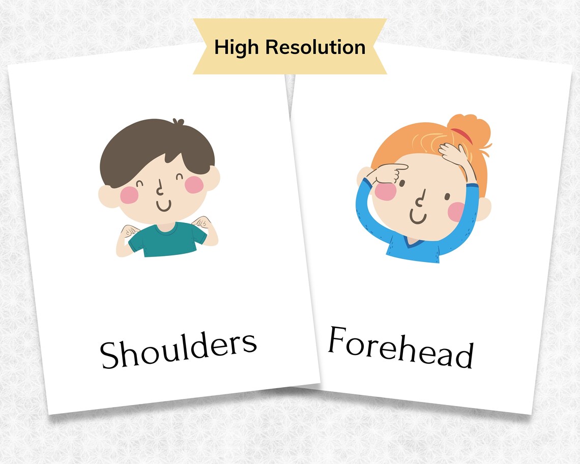 16 Body Parts Flashcards for Kids Learning Body Parts 3 Part ...