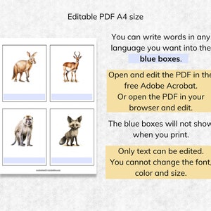 Editable Safari Animals Flashcards for Kids, Montessori Animal Name ...
