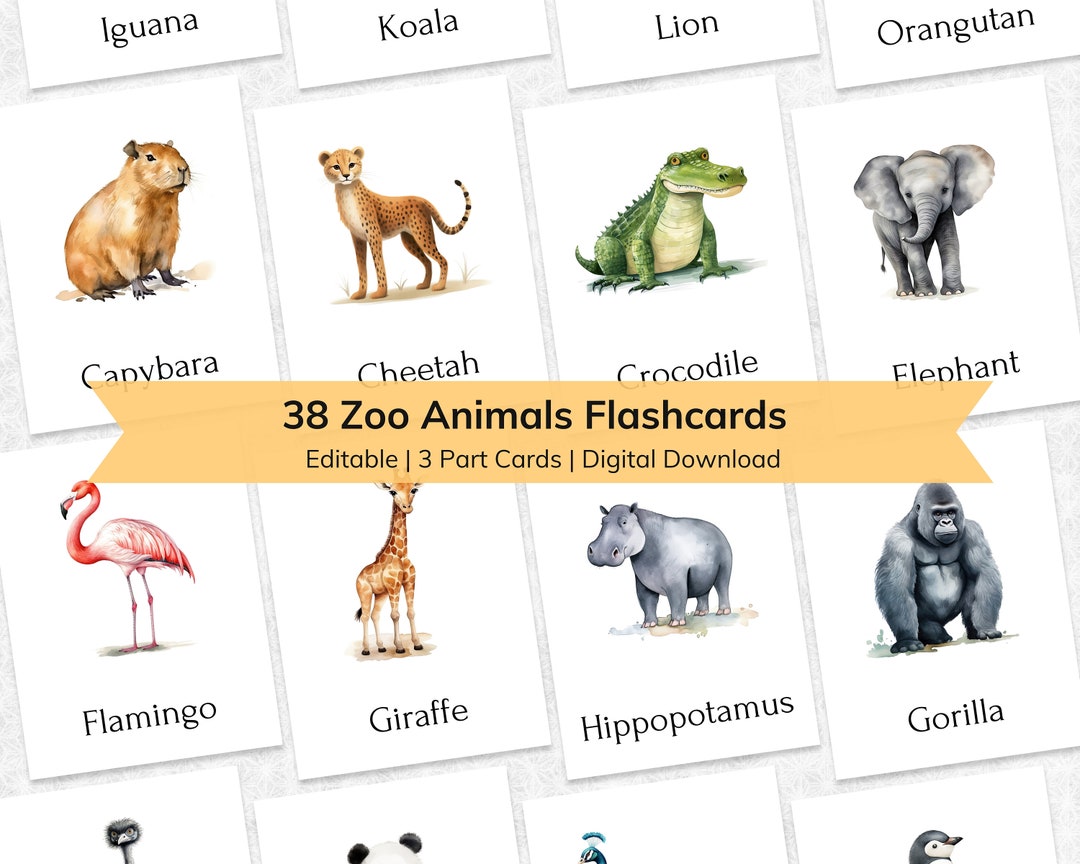 Editable Zoo Animal Flashcards: Montessori Learning (digital Download ...