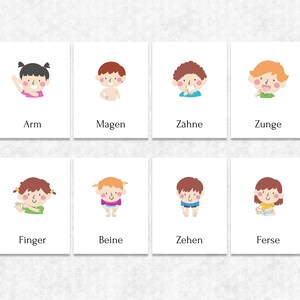 German Body Parts Flashcards: Montessori Learning (digital Download) - Etsy