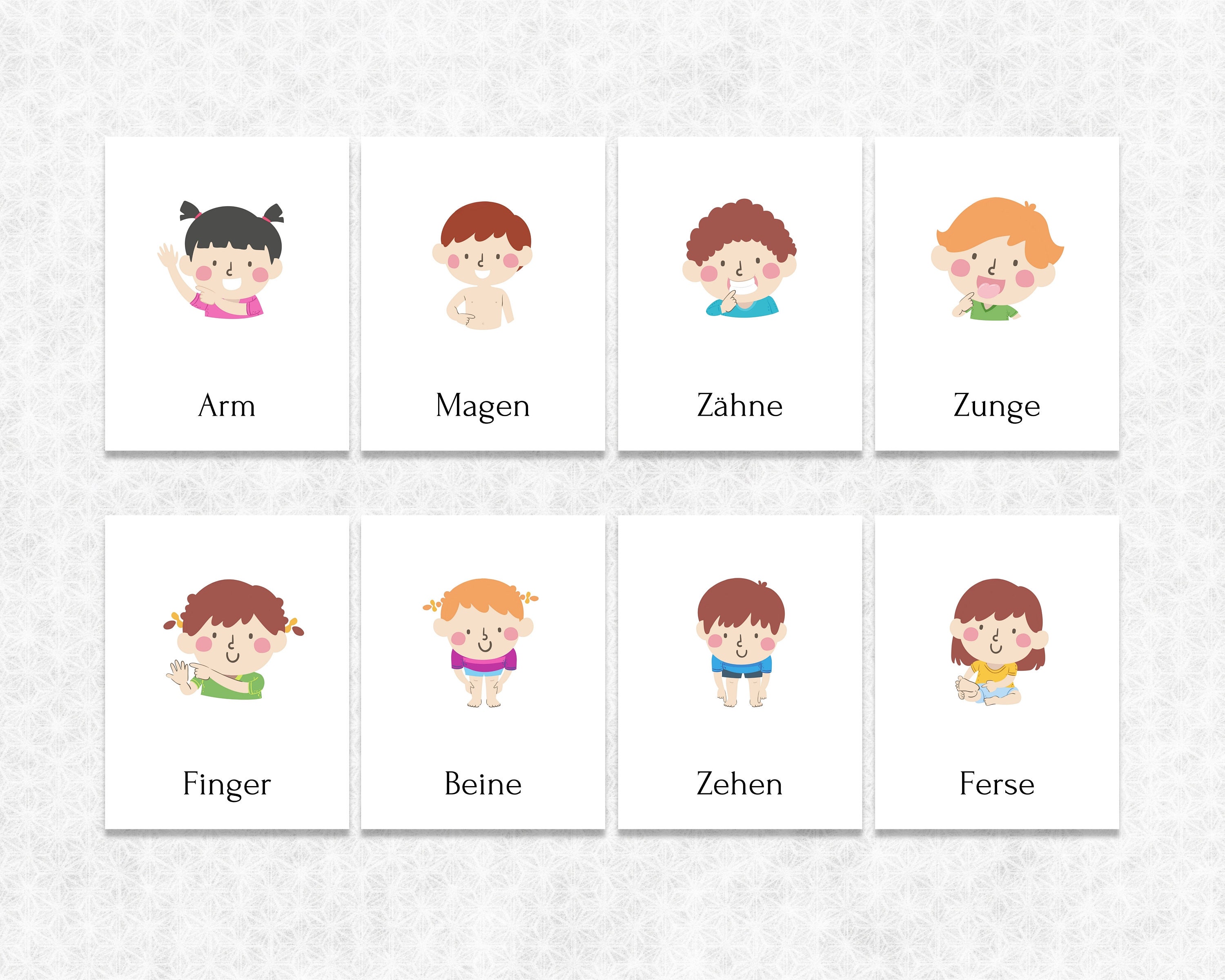 16 German Body Parts Flashcards for Kids Educational 3 Part ...