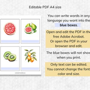 Editable Fruits Flashcards for Kids | Educational 3 Part Nomenclature ...