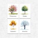 Italian 4 Seasons Flashcards for Kids Printable Montessori Educational ...