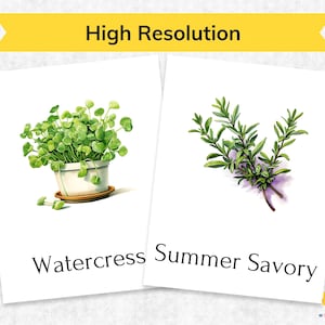 Editable Herb Montessori 3-part Flashcards for Kids, Printable ...
