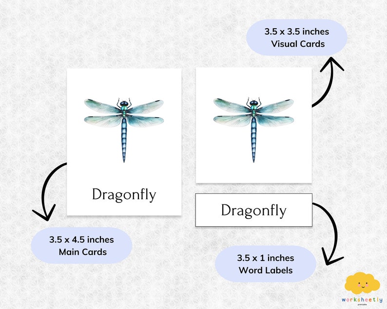 Editable Insect Flashcards for Kids, Printable 3 Part Nomenclature ...