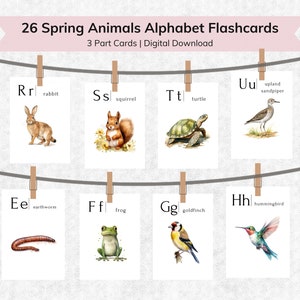 Spring Animals Alphabet Flashcards for Kids | Spring Animals Name, ABC ...