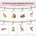 Spring Animals Alphabet Flashcards for Kids | Spring Animals Name, ABC ...