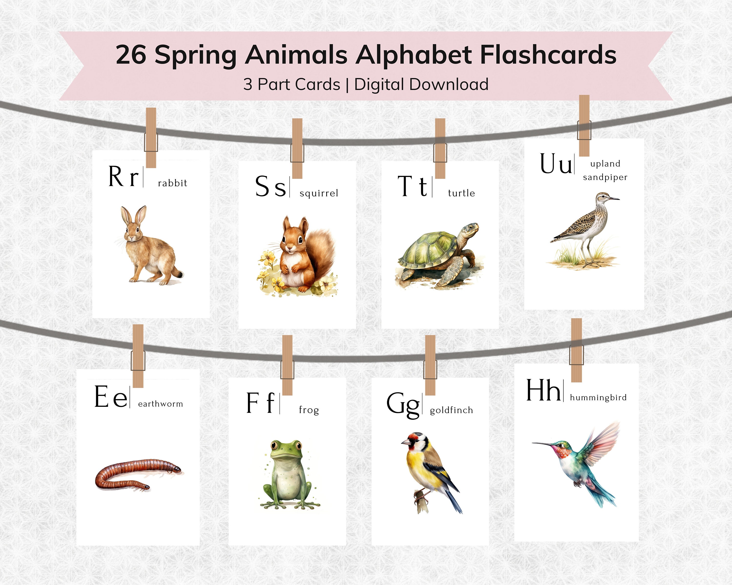 Spring Animals Alphabet Flashcards for Kids | Spring Animals Name, ABC ...