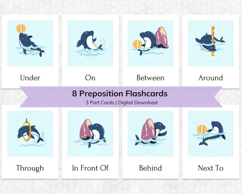 Learn Prepositions With Fun Dolphin Themed Flashcards for Kids ...