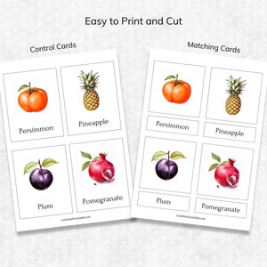 Editable Fruits Flashcards for Kids | Educational 3 Part Nomenclature ...
