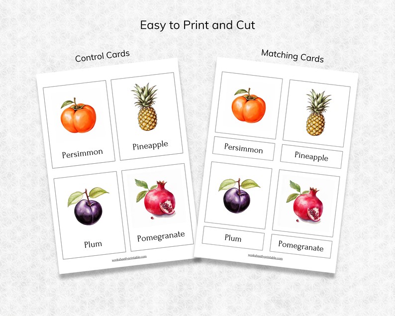 Editable Fruits Flashcards for Kids Educational 3 Part Nomenclature ...