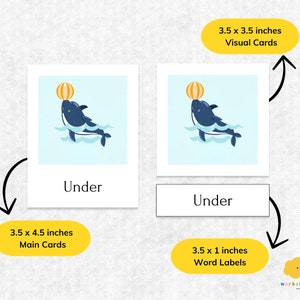 Learn Prepositions With Fun Dolphin Themed Flashcards for Kids ...