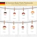 16 German Body Parts Flashcards for Kids Educational 3 Part ...