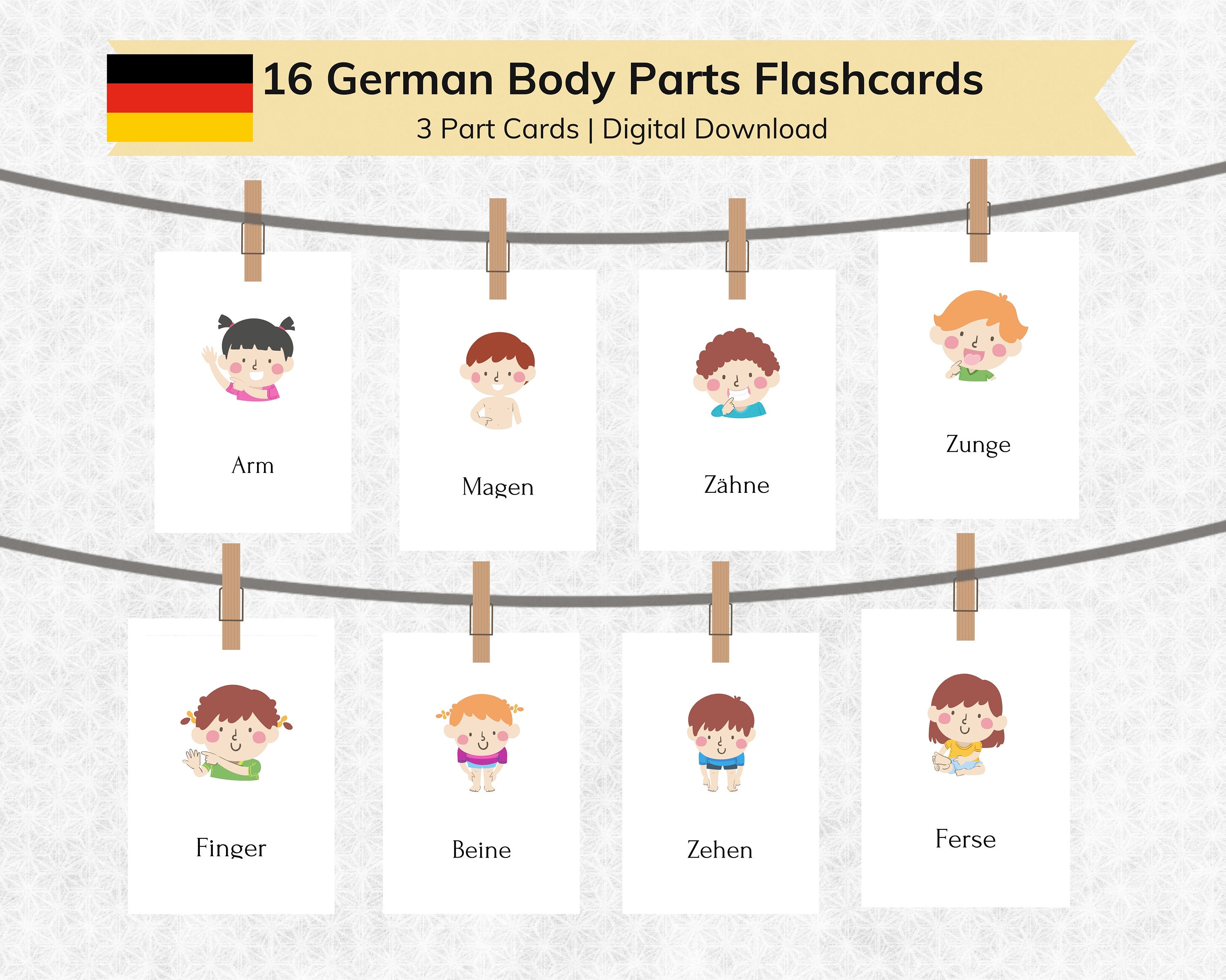 16 German Body Parts Flashcards for Kids Educational 3 Part ...