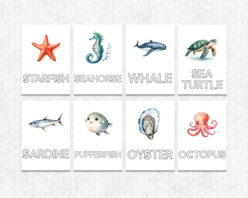 Ocean Animal Name Tracing Flashcards for Kids, Printable Montessori ...