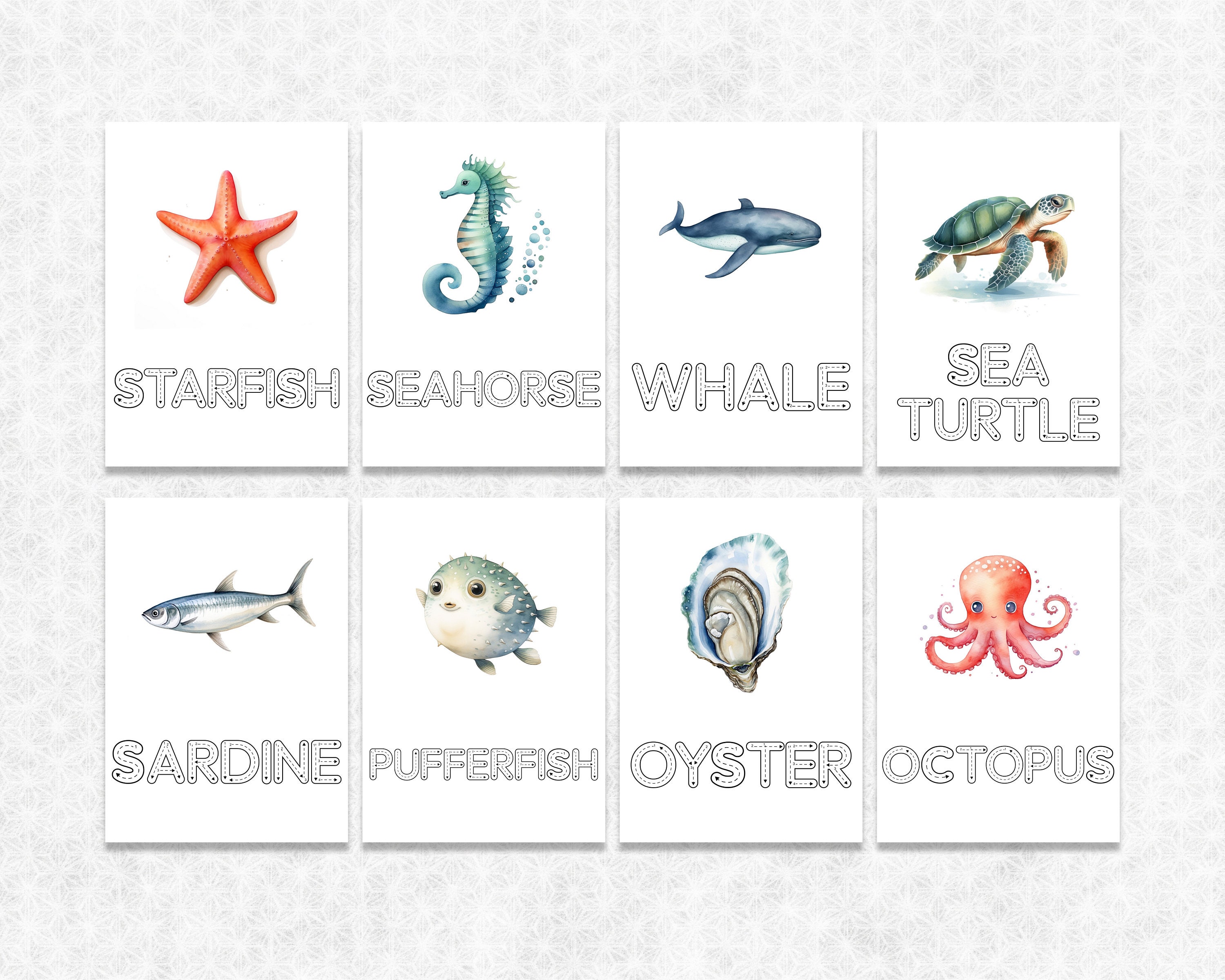 Ocean Animal Tracing Flashcards: Montessori Learning (digital Download ...