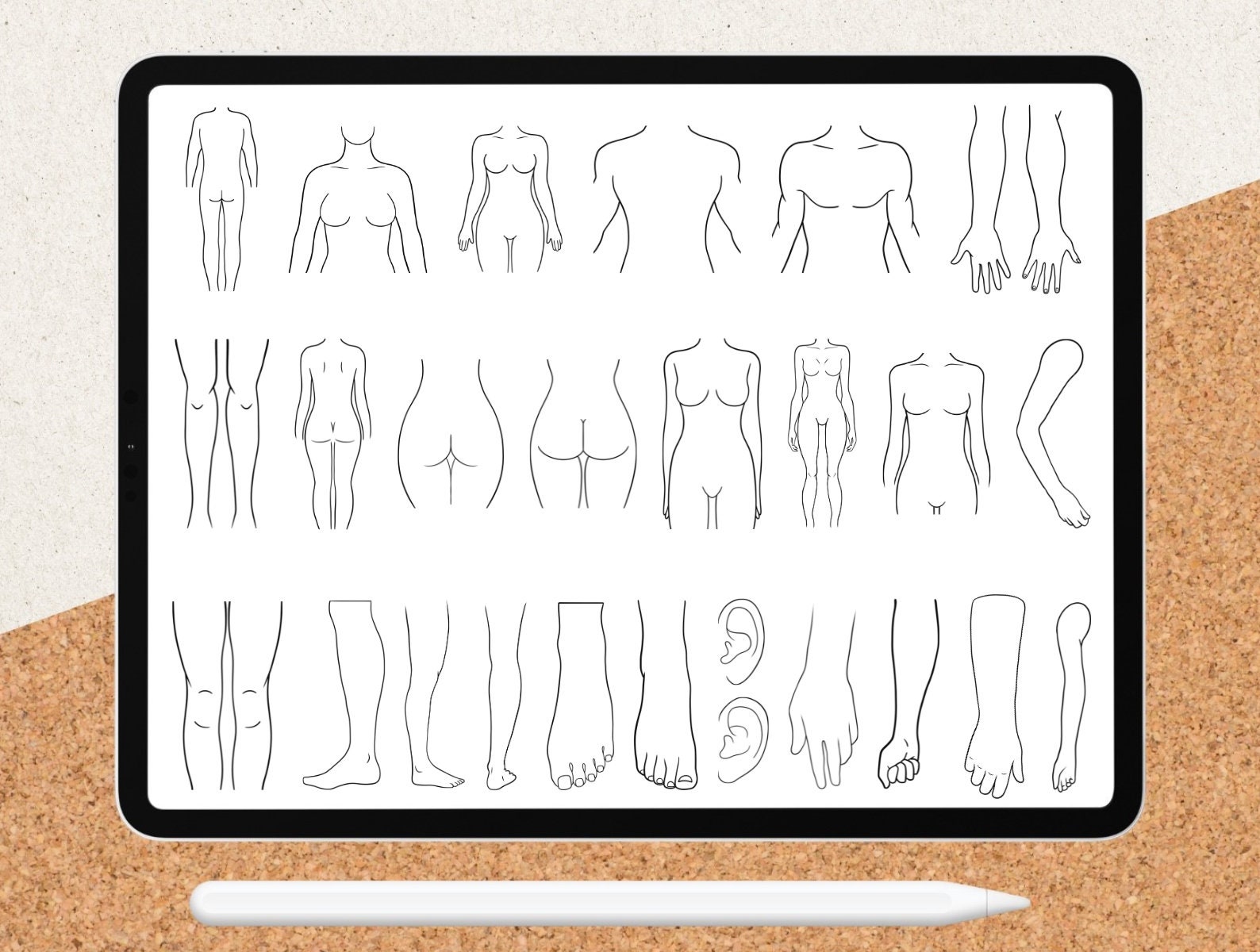 Procreate Tattoo Body Shape Stamps, Tattoo Body Stencils, Body Shape ...