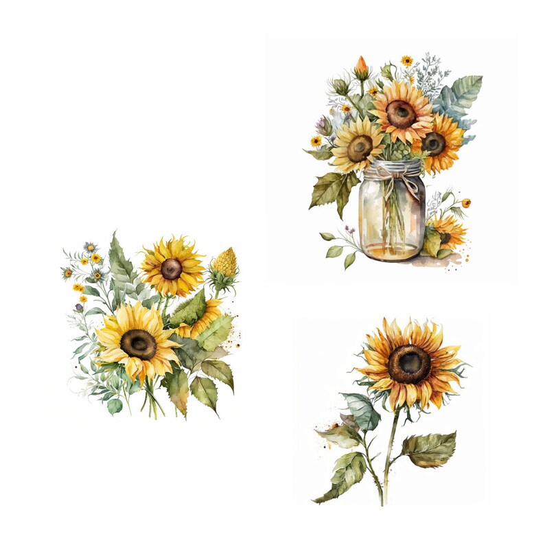 Watercolor Floral Sunflowers Clipart Fall Flowers Fall Floral, No ...