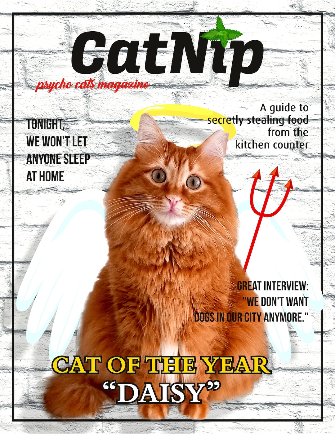 Cat Magazine Cover Custom Cat Magazine Designs for Cat - Etsy