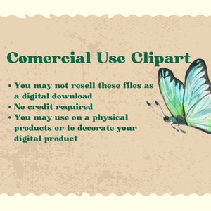 Butterfly Png, Butterfly Watercolor Png, Colorful Butterfly Clipart ...